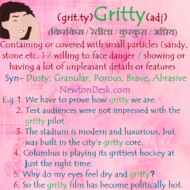Gritty - Containing or Covered With Small Particles | Vocabulary FlashCard